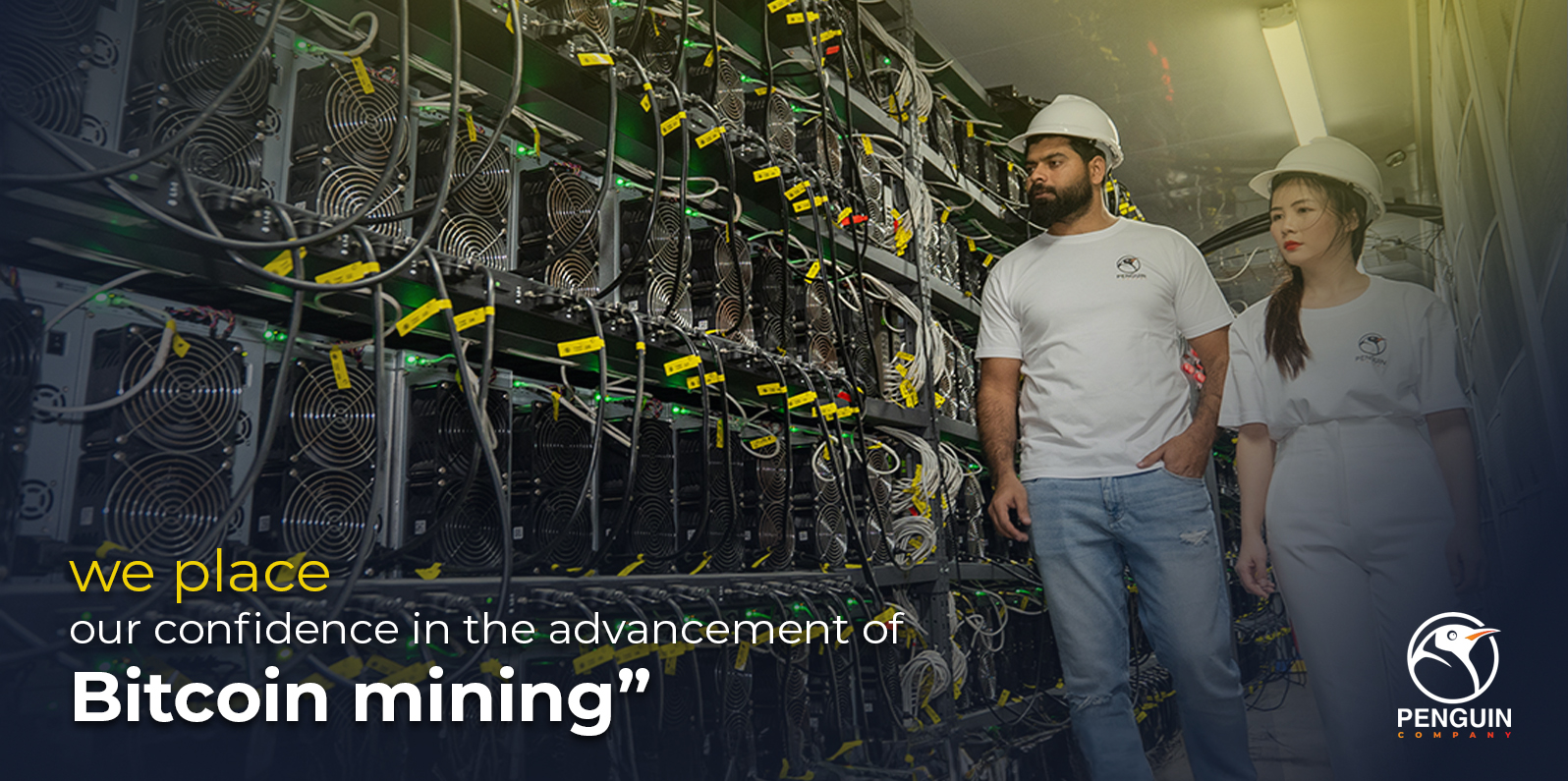 Bitcoin Mining in Dubai | Penguin Global